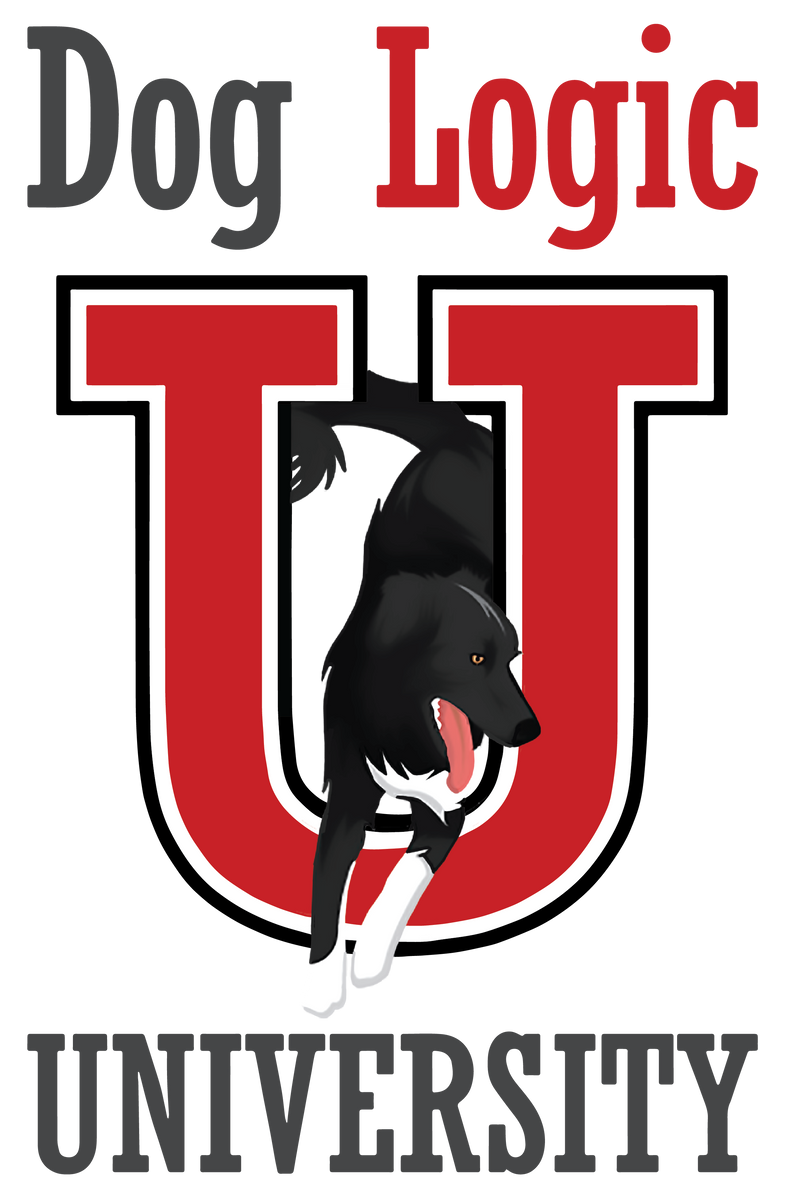 Dog Logic University – Ernie's Agility Pro Shop