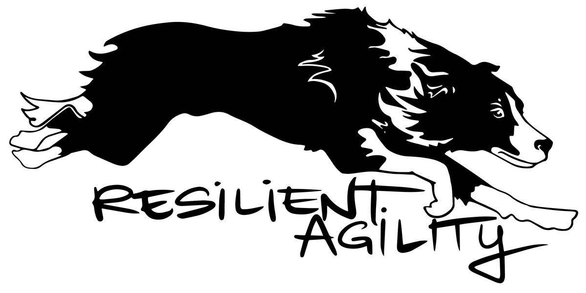 Resilient Agility – Ernie's Agility Pro Shop
