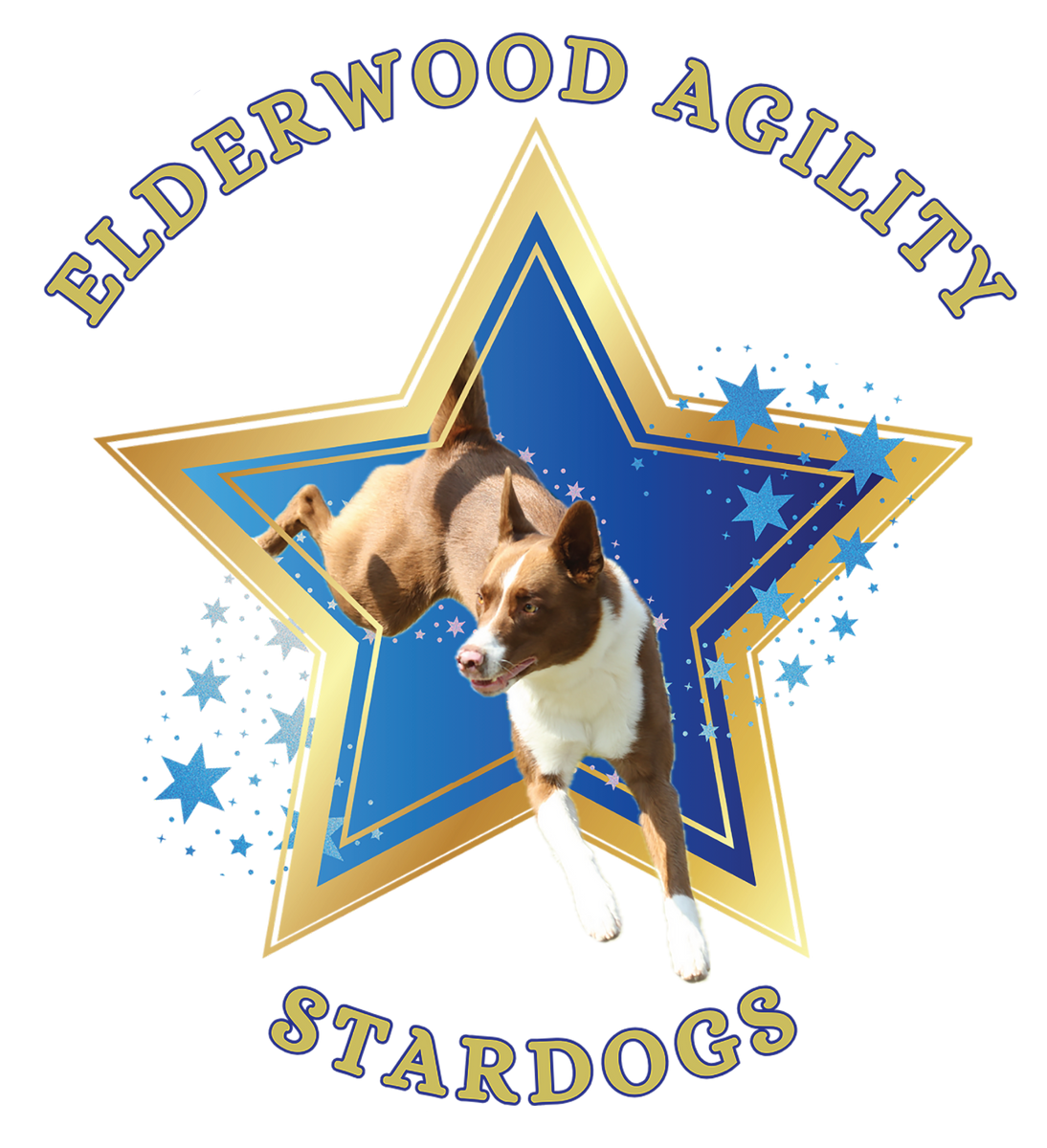 Elderwood Agility StarDogs – Ernie's Agility Pro Shop