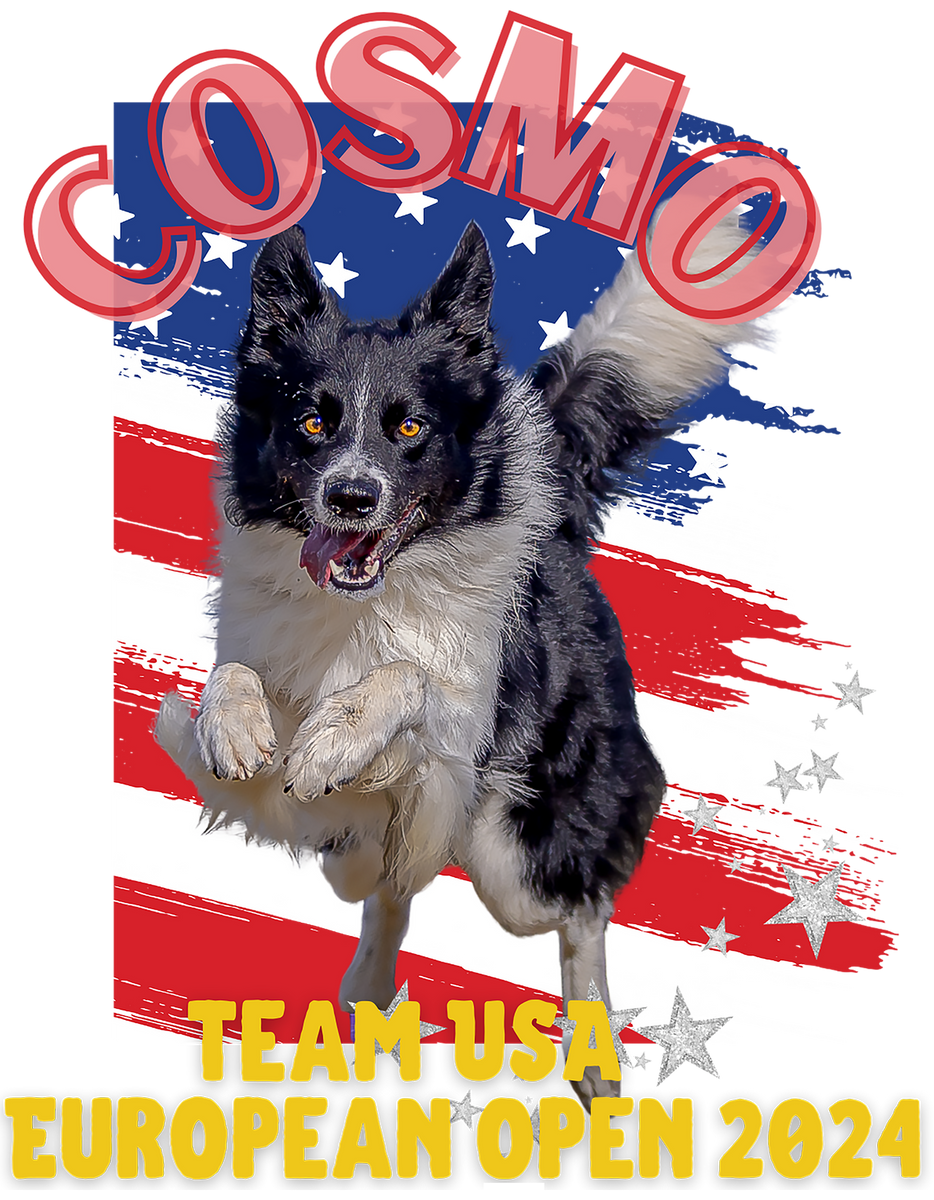 Cosmo/Stickers Vinyl Laminated/Sticker – Ernie's Agility Pro Shop