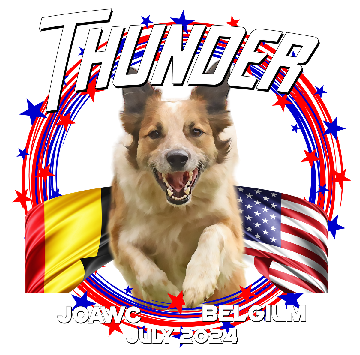 Thunder/Stickers Vinyl Laminated/Sticker – Ernie's Agility Pro Shop